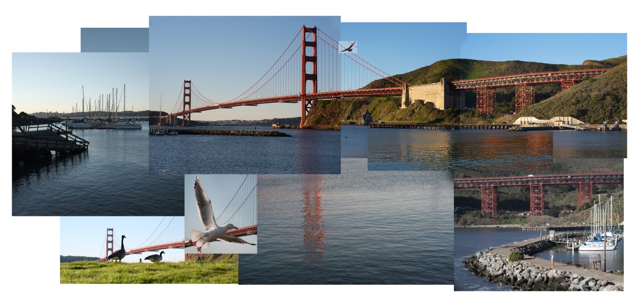 Assemblages - Laurent Alfieri Photography